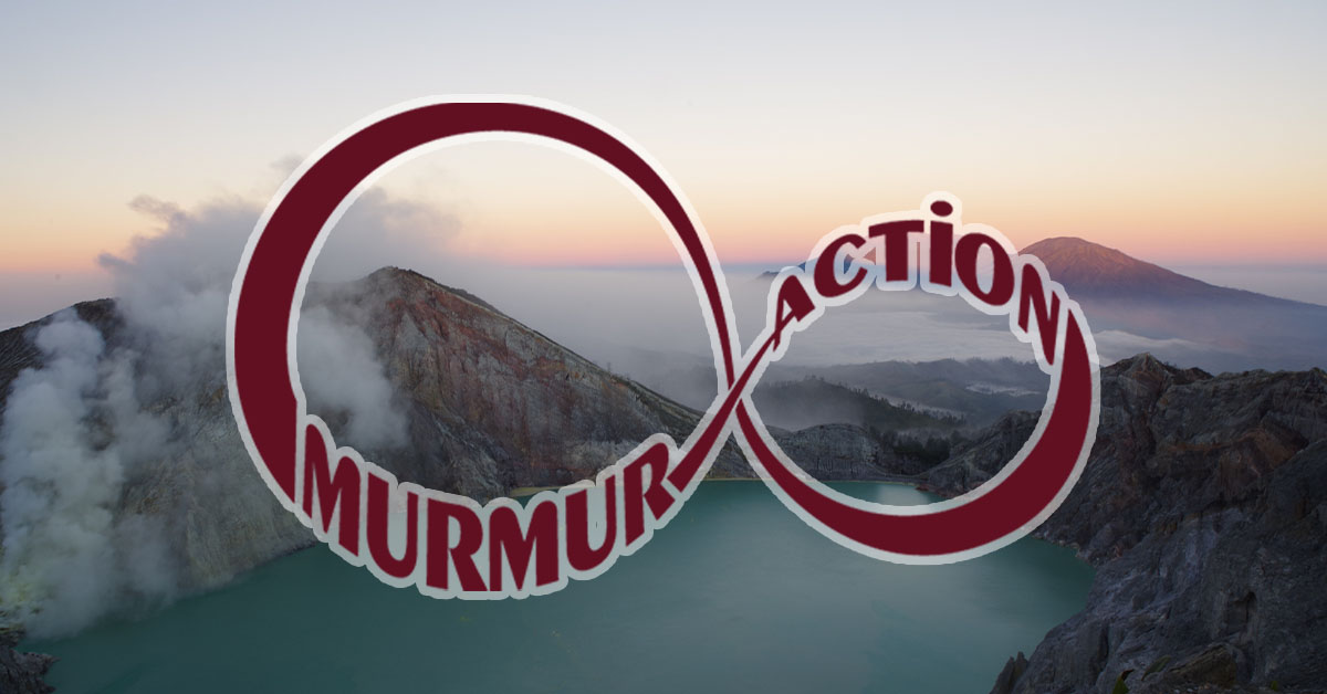 MurmurAction | Coaching et bilan de compétences